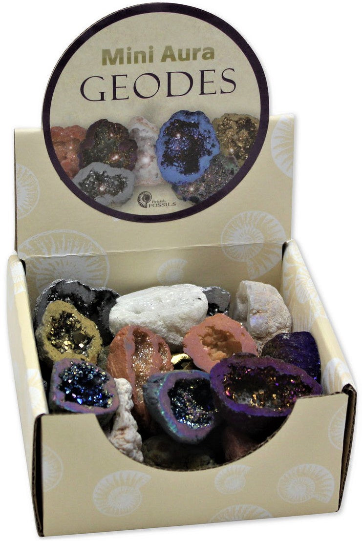 Mini Aura Geodes – Windsor Health